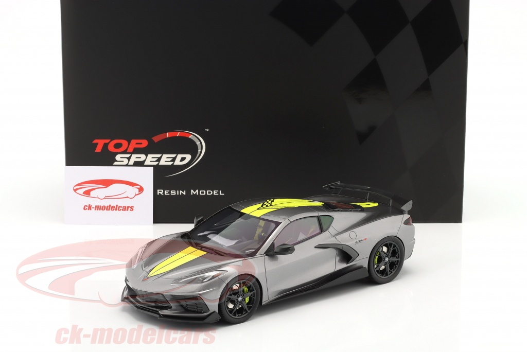 True Scale 1:18 Chevrolet Corvette Stingray IMSA GTLM Championship ...