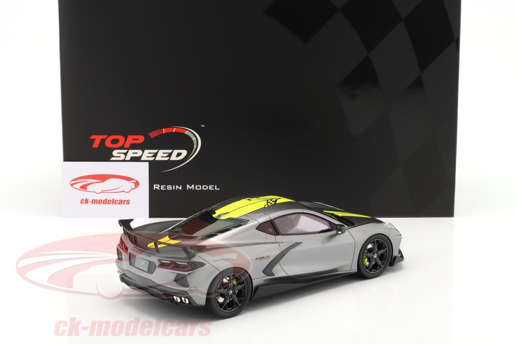 True Scale 1:18 Chevrolet Corvette Stingray IMSA GTLM Championship ...