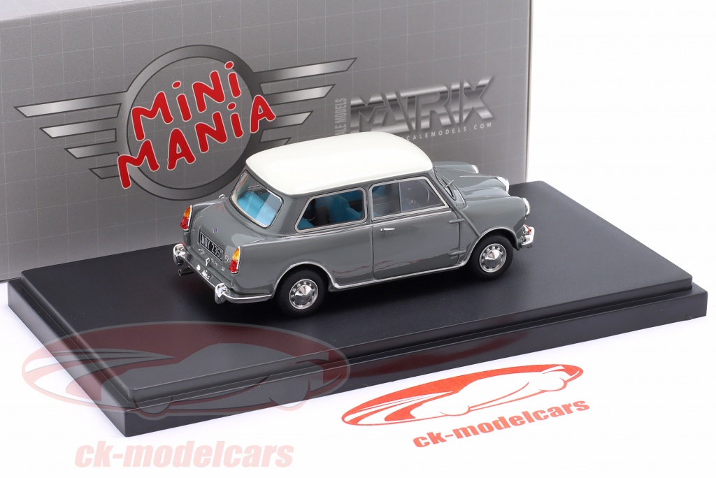 Matrix 1:43 Riley Elf MkII Año de construcción 1963-1967 Gris / blanco ...