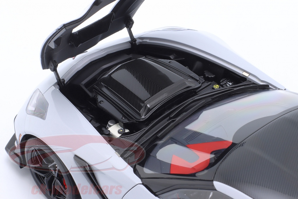 AUTOart 1:18 Chevrolet Corvette C7 ZR1 year 2019 Gray metallic 71277 ...