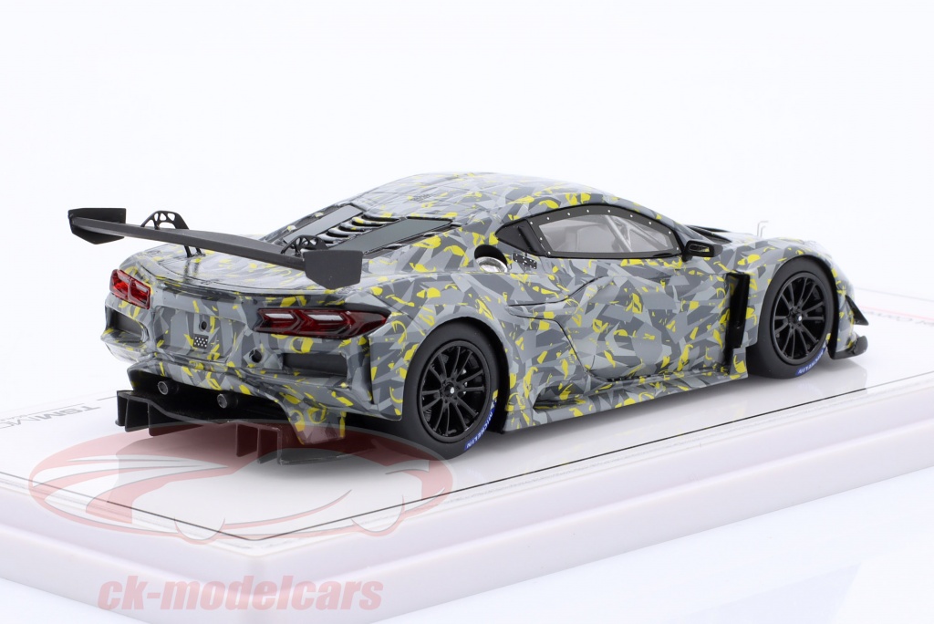 True Scale 1:43 Chevrolet Corvette Z06 GT3.R Test Car Sebring 2022 ...