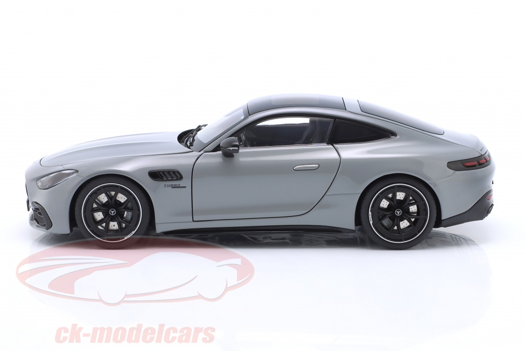 NZG 1:18 Mercedes-Benz AMG GT 43 alpingrau 1052/59 Modellauto 1052/59 ...