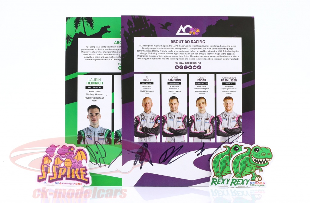 Fan-Set: Porsche 911 GT3 R (992) #77 & Oreca 07 #99 24h Daytona 2025 AO ...