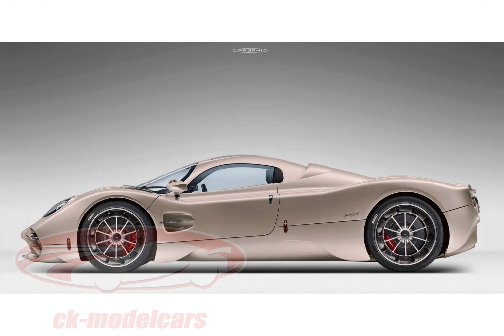 Pocher 1:8 Pagani Utopia Kit Renaissance gray HK120 model car HK120 ...