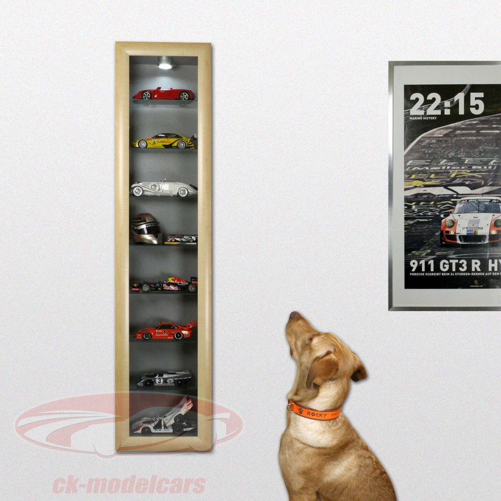 Exhibition and collector's display for model cars including 7 glass ...